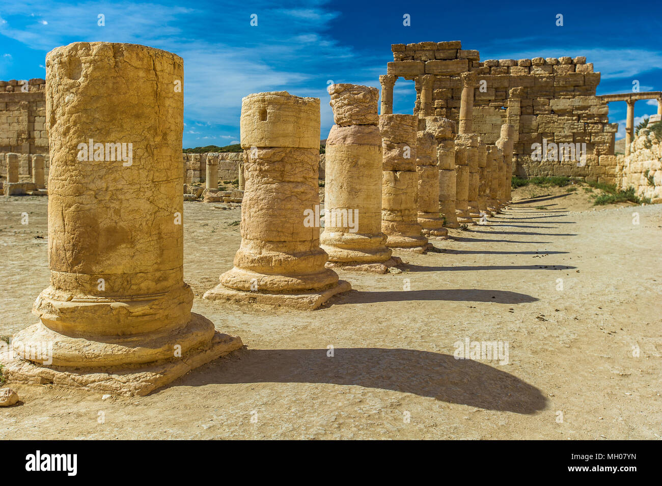 Columns of the Roman ruins of Palmyra, Syria. UNESCO World Heritage ...