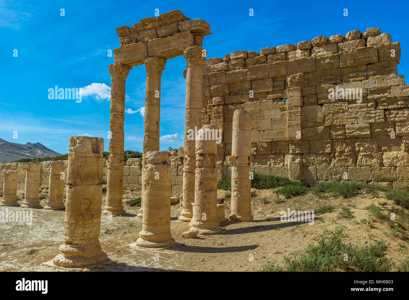 Columns of the Roman ruins of Palmyra, Syria. UNESCO World Heritage ...