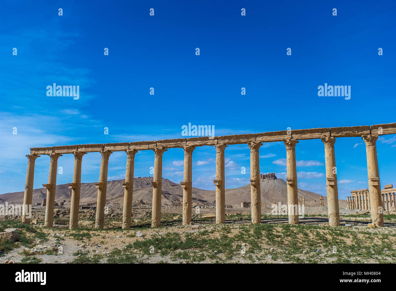 Columns of the Roman ruins of Palmyra, Syria. UNESCO World Heritage ...