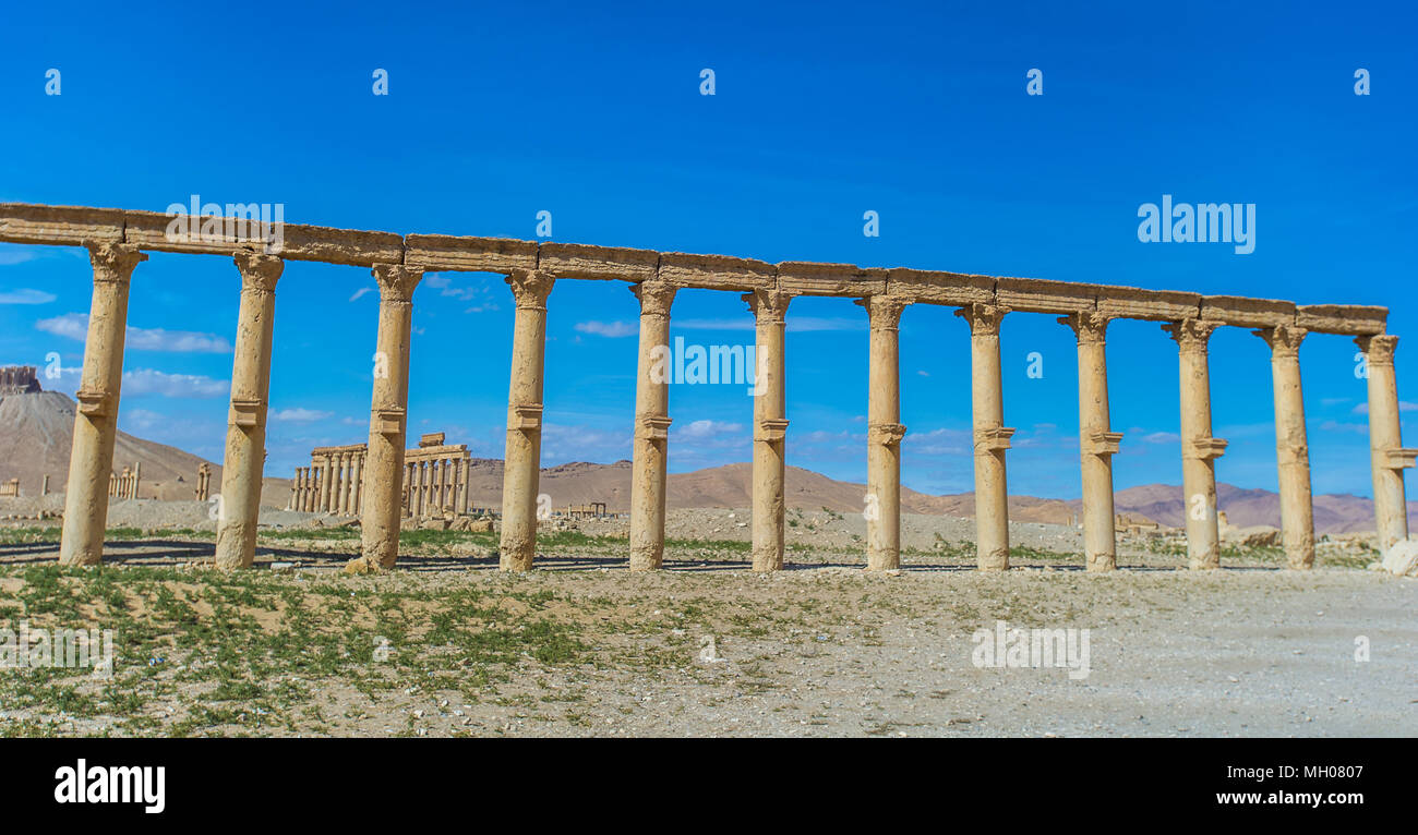 Columns of the Roman ruins of Palmyra, Syria. UNESCO World Heritage ...
