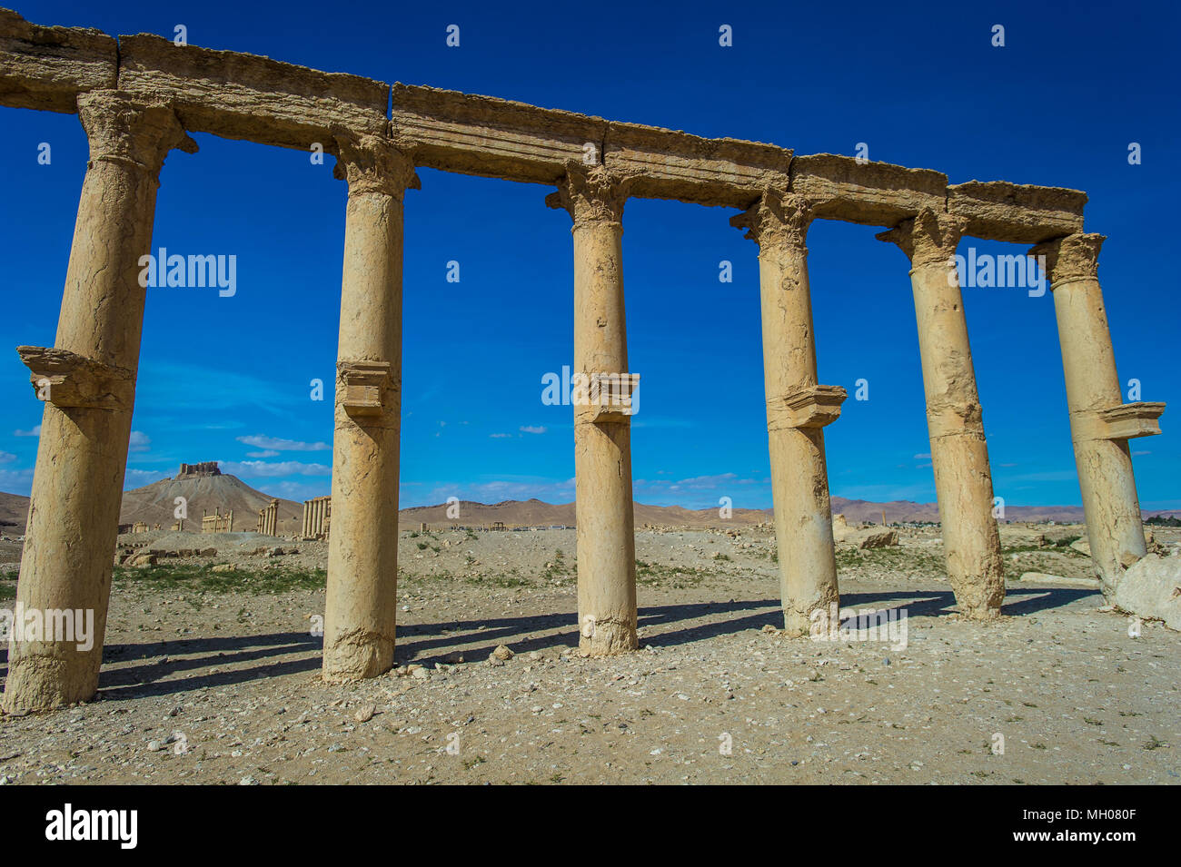 Columns of the Roman ruins of Palmyra, Syria. UNESCO World Heritage ...