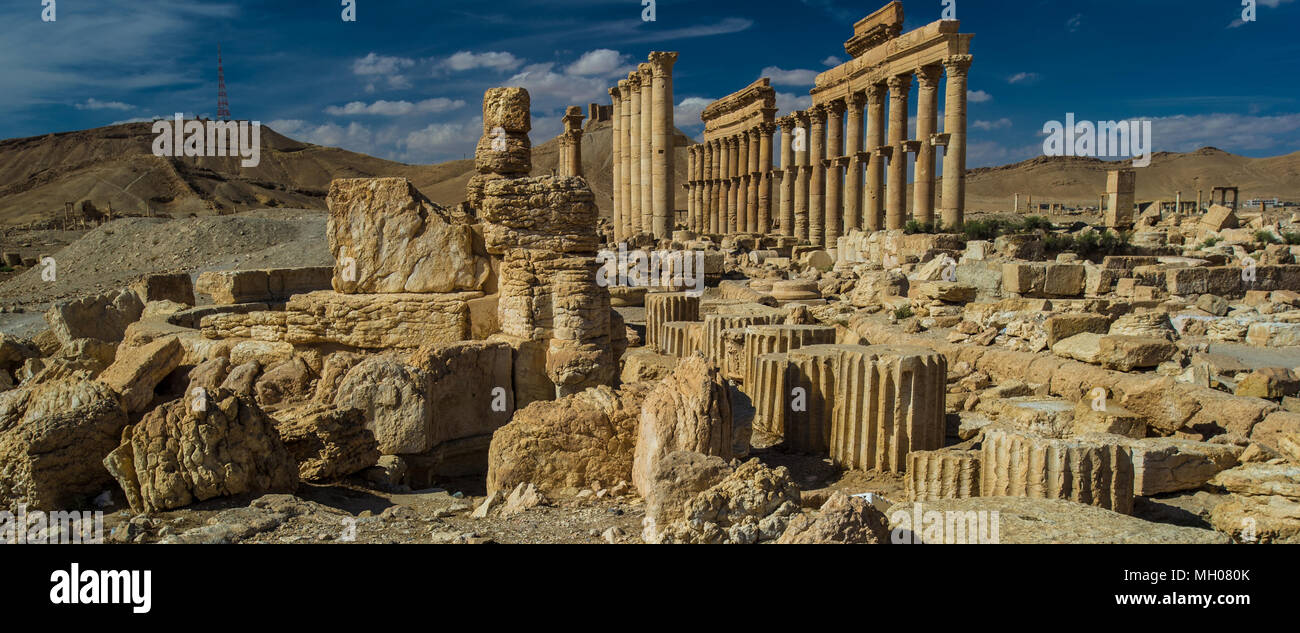 Landscape od Palmyra, Syria. UNESCO World Heritage Stock Photo - Alamy