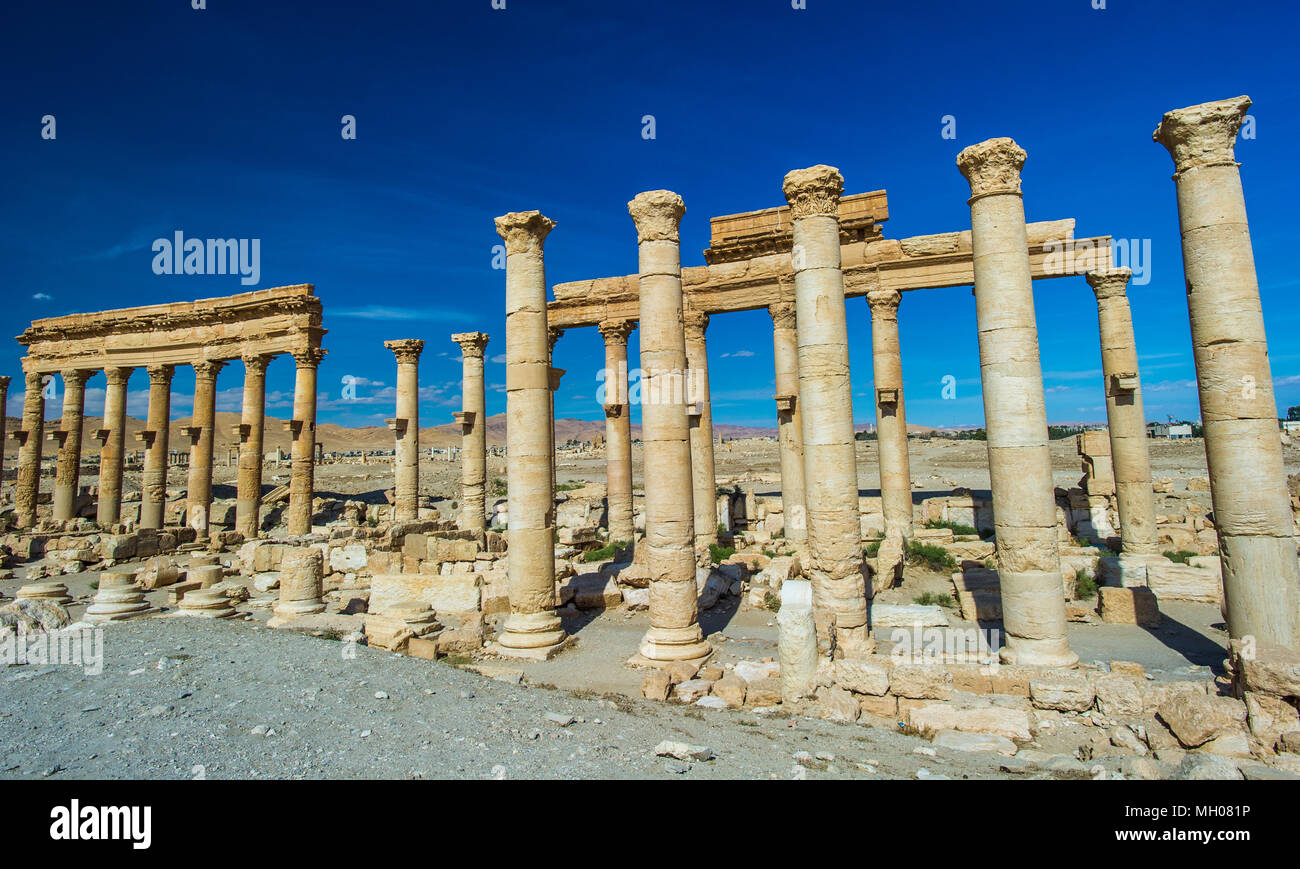 Roman columns of an ancient city in central Syria, Palmyra Stock Photo ...