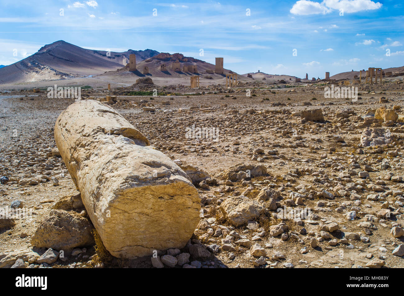 Nature of Palmyra, Syria Stock Photo - Alamy