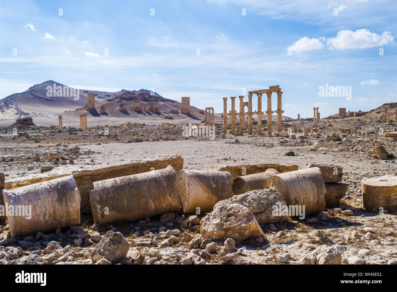 Nature of Palmyra, Syria Stock Photo - Alamy