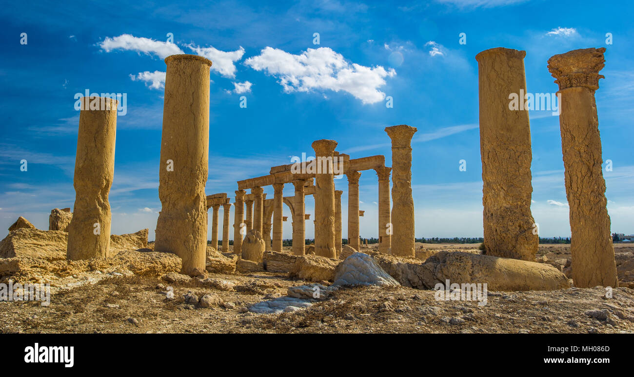 Palmyra landscape ruins Stock Photo - Alamy