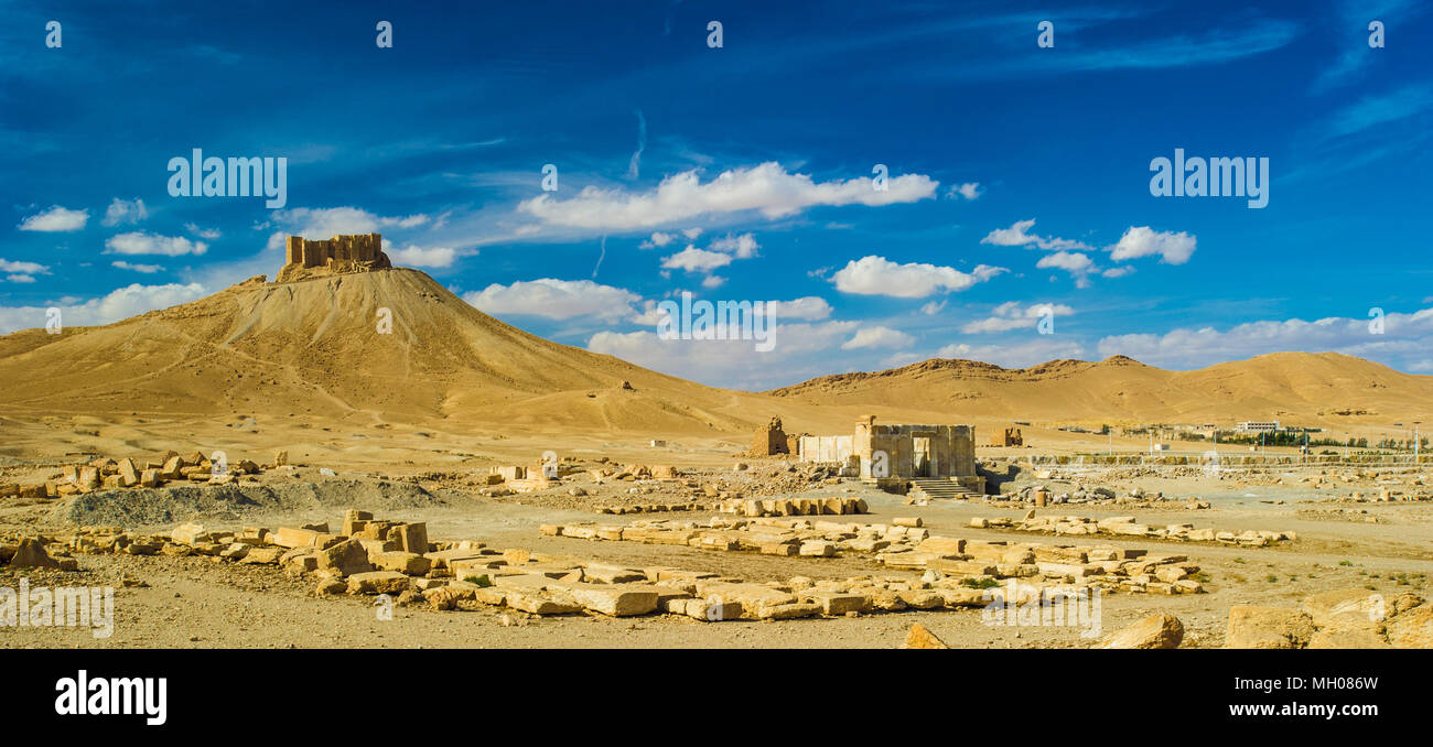 Palmyra landscape ruins Stock Photo - Alamy