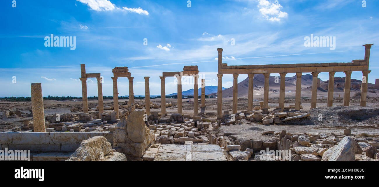 Palmyra excavation, Roman ruins Stock Photo - Alamy