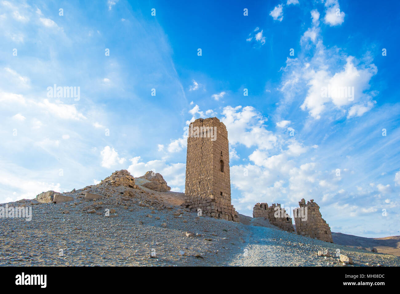 Tower Tomb in desert town, Palmyra, Syria Stock Photo - Alamy