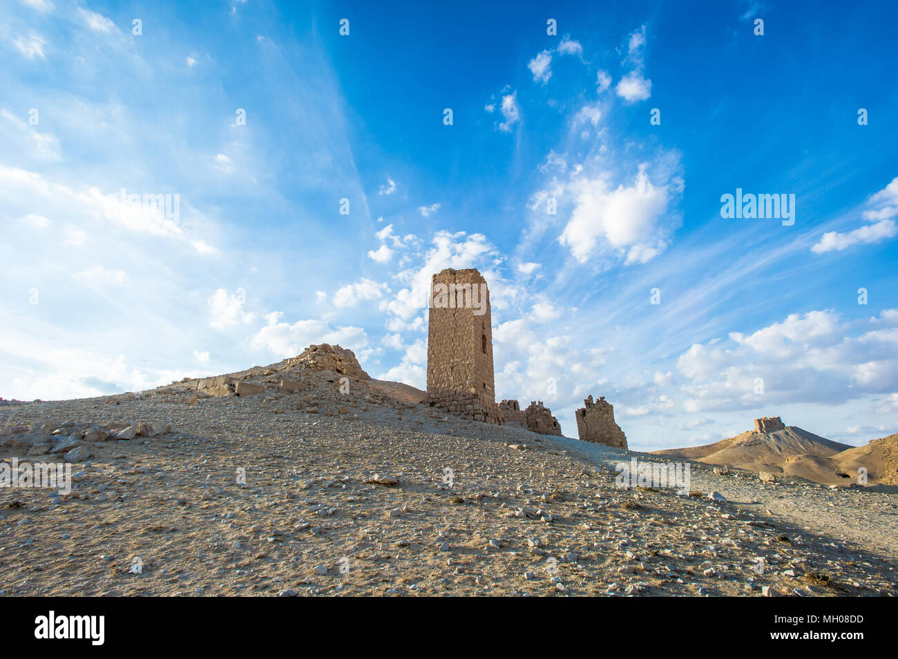 Tower Tomb in desert town, Palmyra, Syria Stock Photo - Alamy