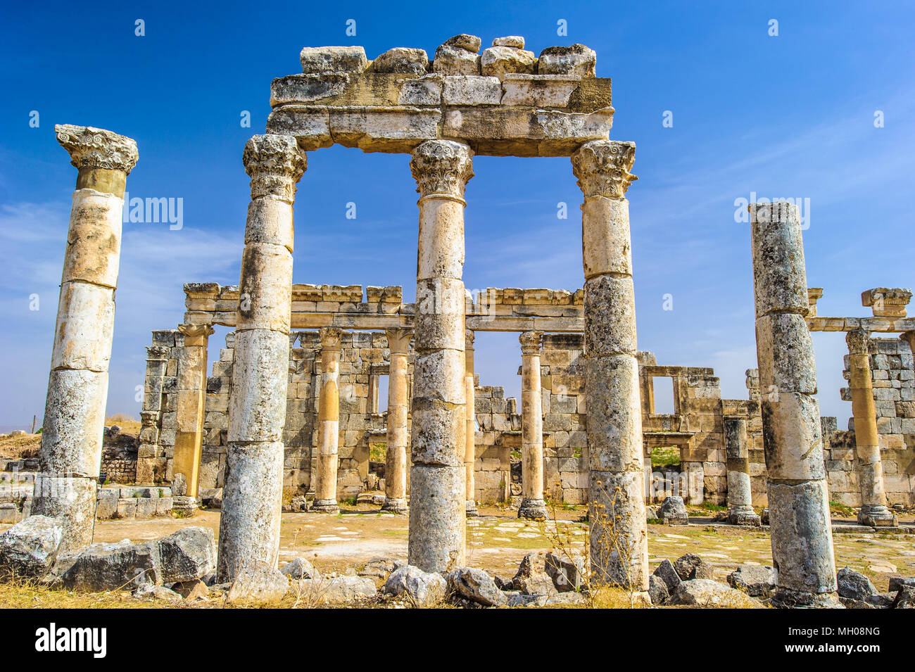Ruins of the columns of Apamea, a treasure city and stud-depot of the ...
