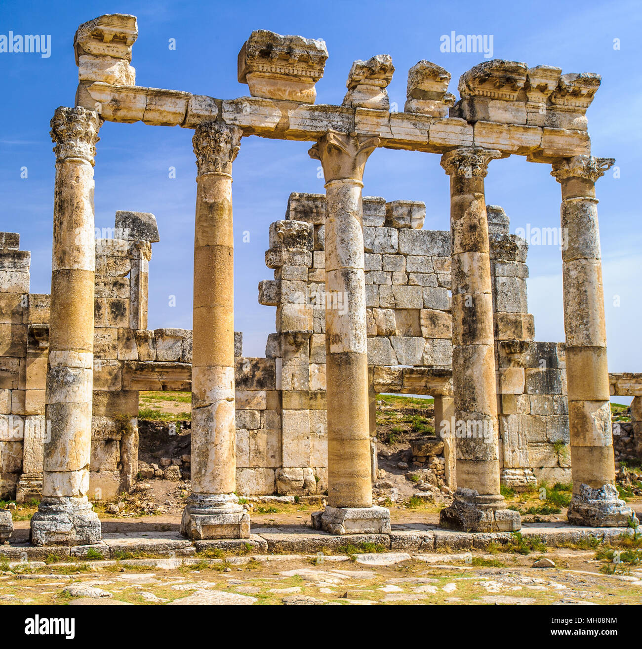 Ruins of the columns of Apamea, a treasure city and stud-depot of the ...
