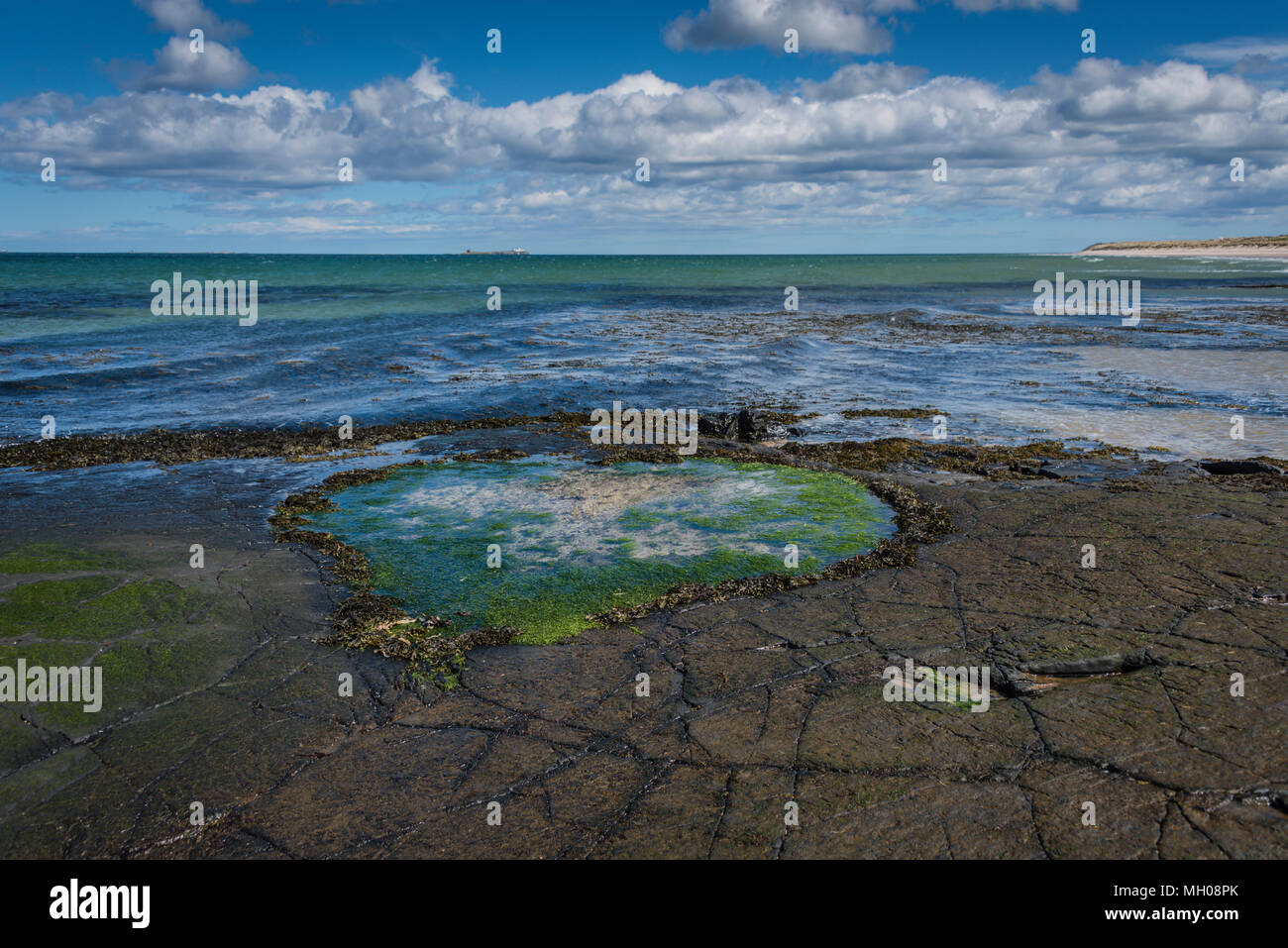 Dabbling in rockpools hi-res stock photography and images - Alamy