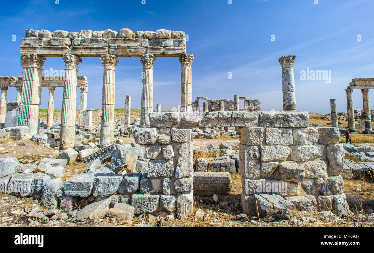 Ruins of the columns of Apamea, Syria Stock Photo - Alamy