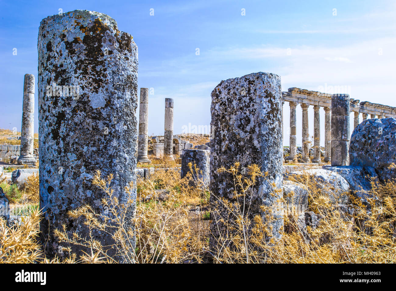Stones of the ruins of Apamea, in Syria Stock Photo - Alamy