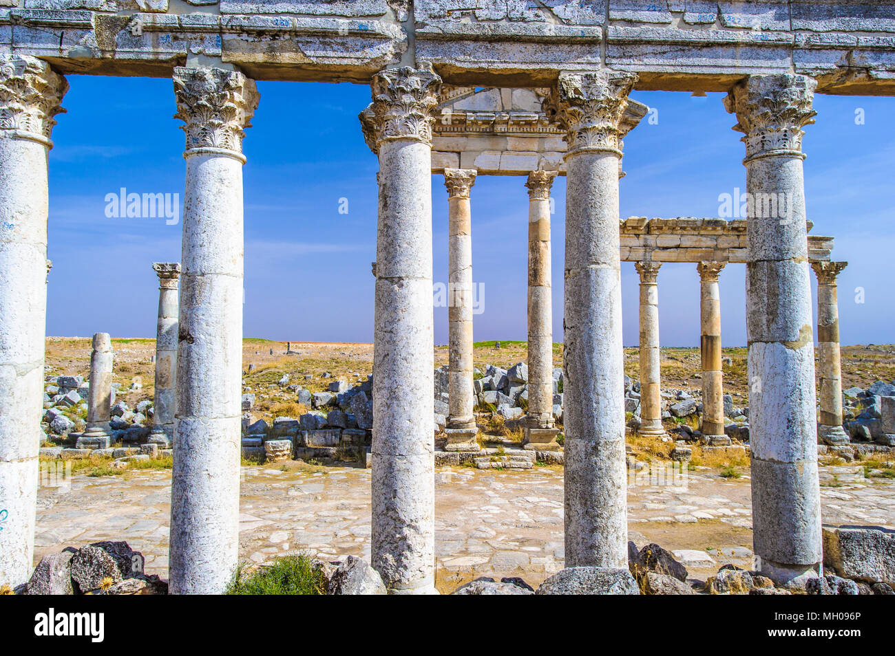 Columns decorated with the distinctive spiral-flutes. Apamea, Syria ...