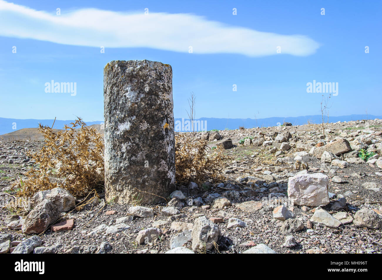 Nature and stones of Apamea, Syria Stock Photo - Alamy