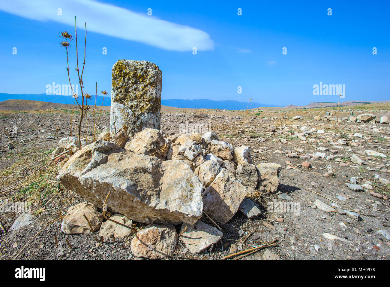 Apameia High Resolution Stock Photography and Images - Alamy