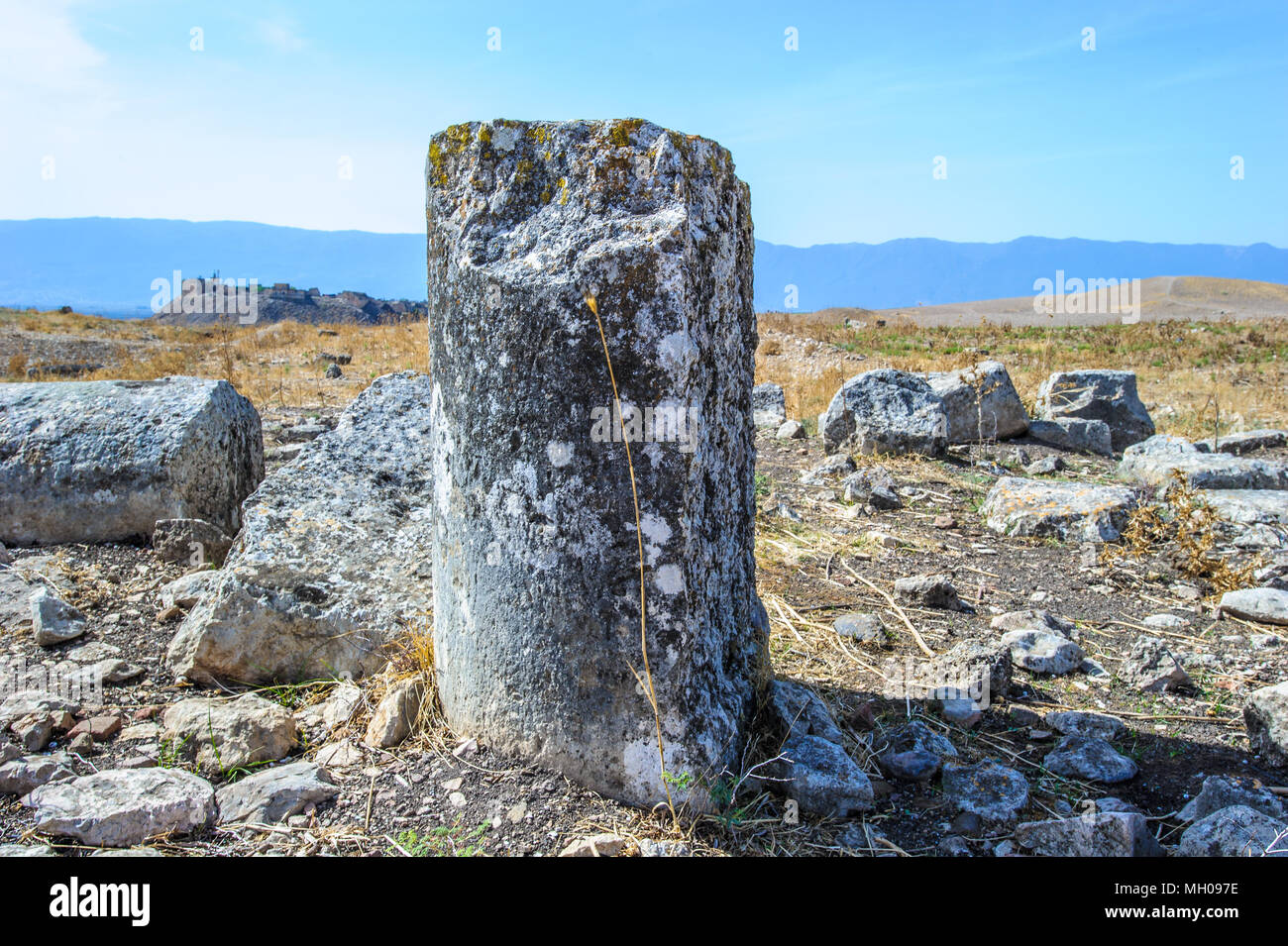 Nature and stones of Apamea, Syria Stock Photo - Alamy