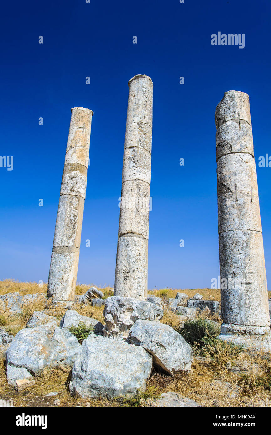 Columns of Apamea, Syria Stock Photo - Alamy