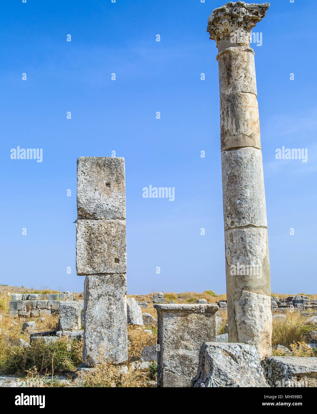 Corinthian colums hi-res stock photography and images - Alamy