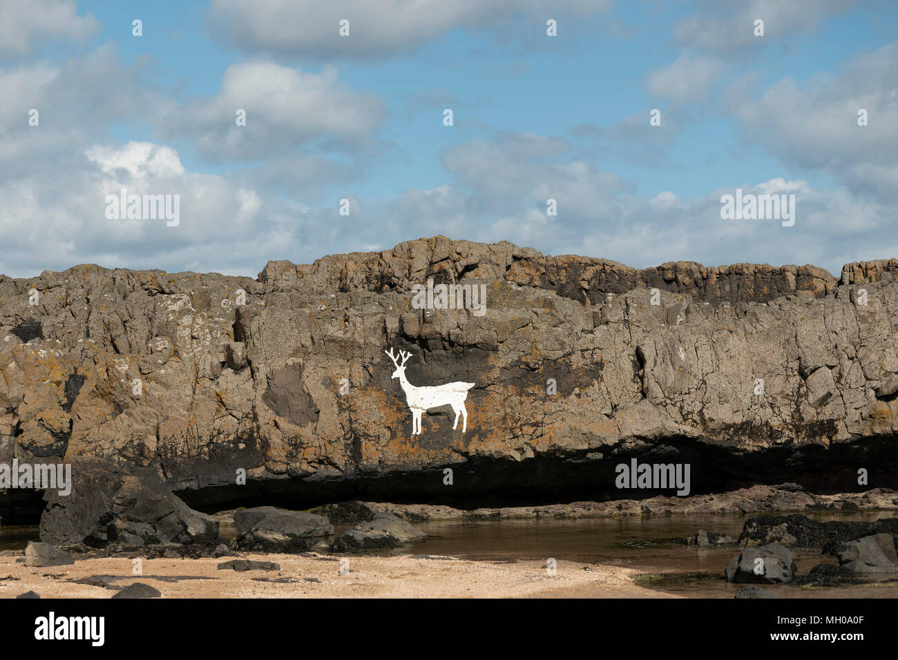 The white stag at Stag Rocks, Bamburgh Beach, Northumberland, UK Stock ...
