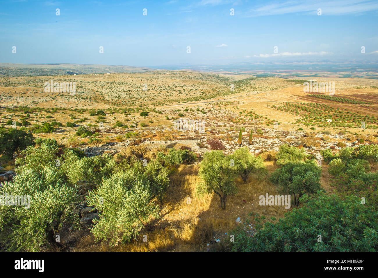 Lanscape of the nature of Syria Stock Photo - Alamy