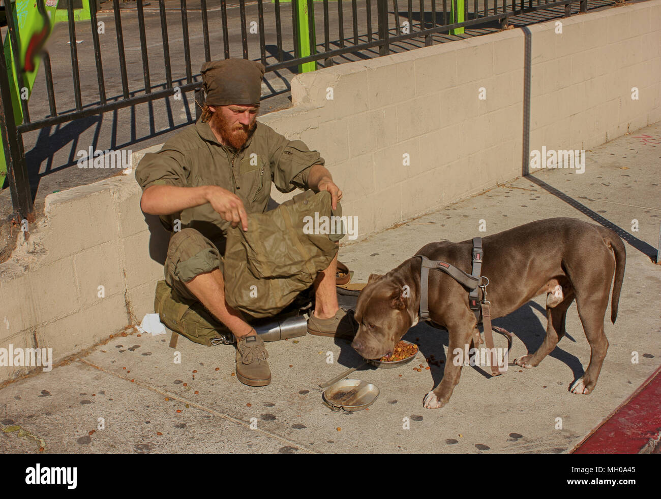 A homeless man and his homeless dog beg,Beggar on the street,Homeless ...