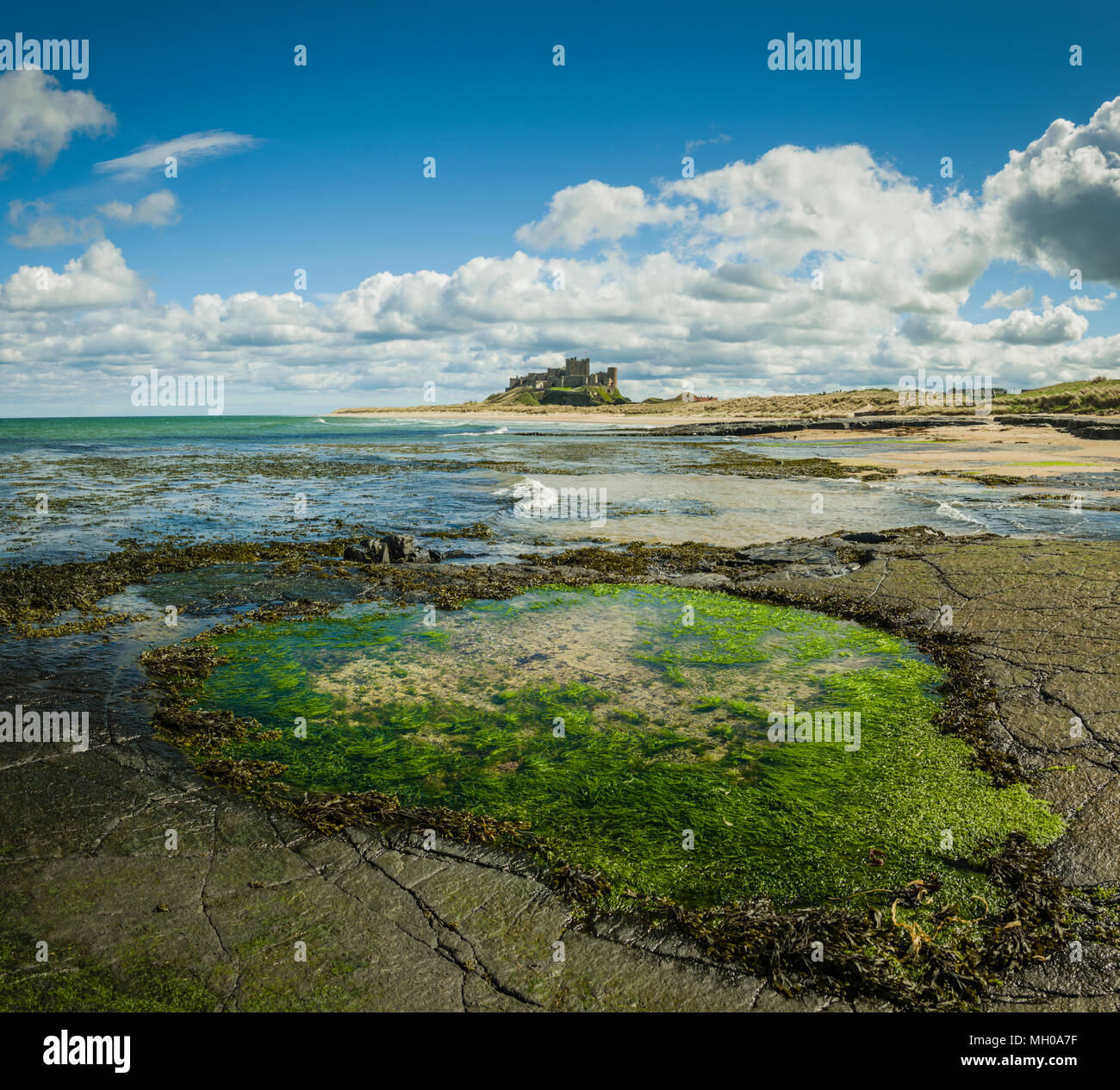 Rockpool hi-res stock photography and images - Alamy
