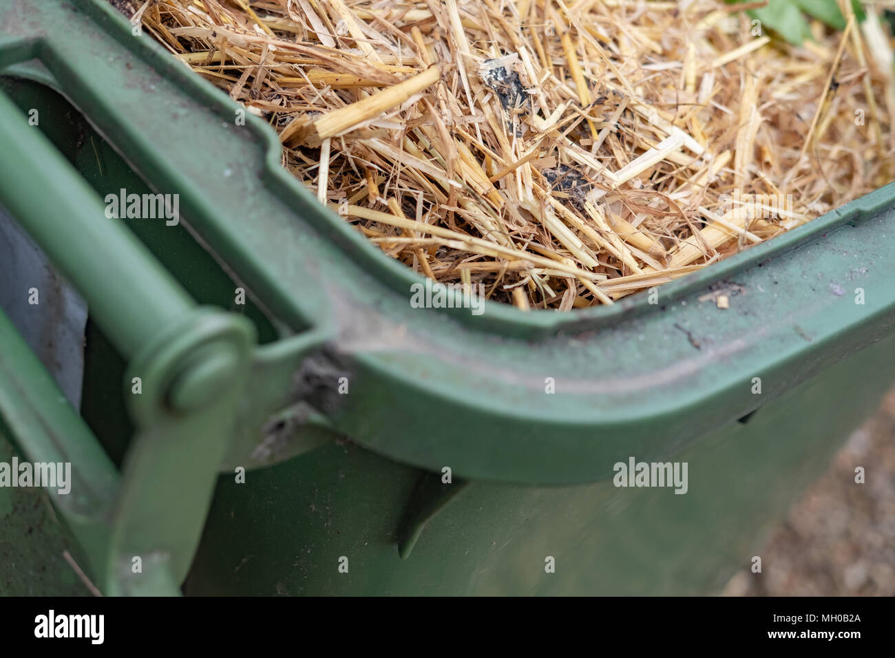 Shallow focus image of green waste including rabbit hutch straw seen in ...