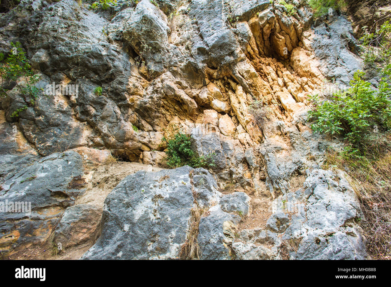 Nature of Syria Stock Photo - Alamy