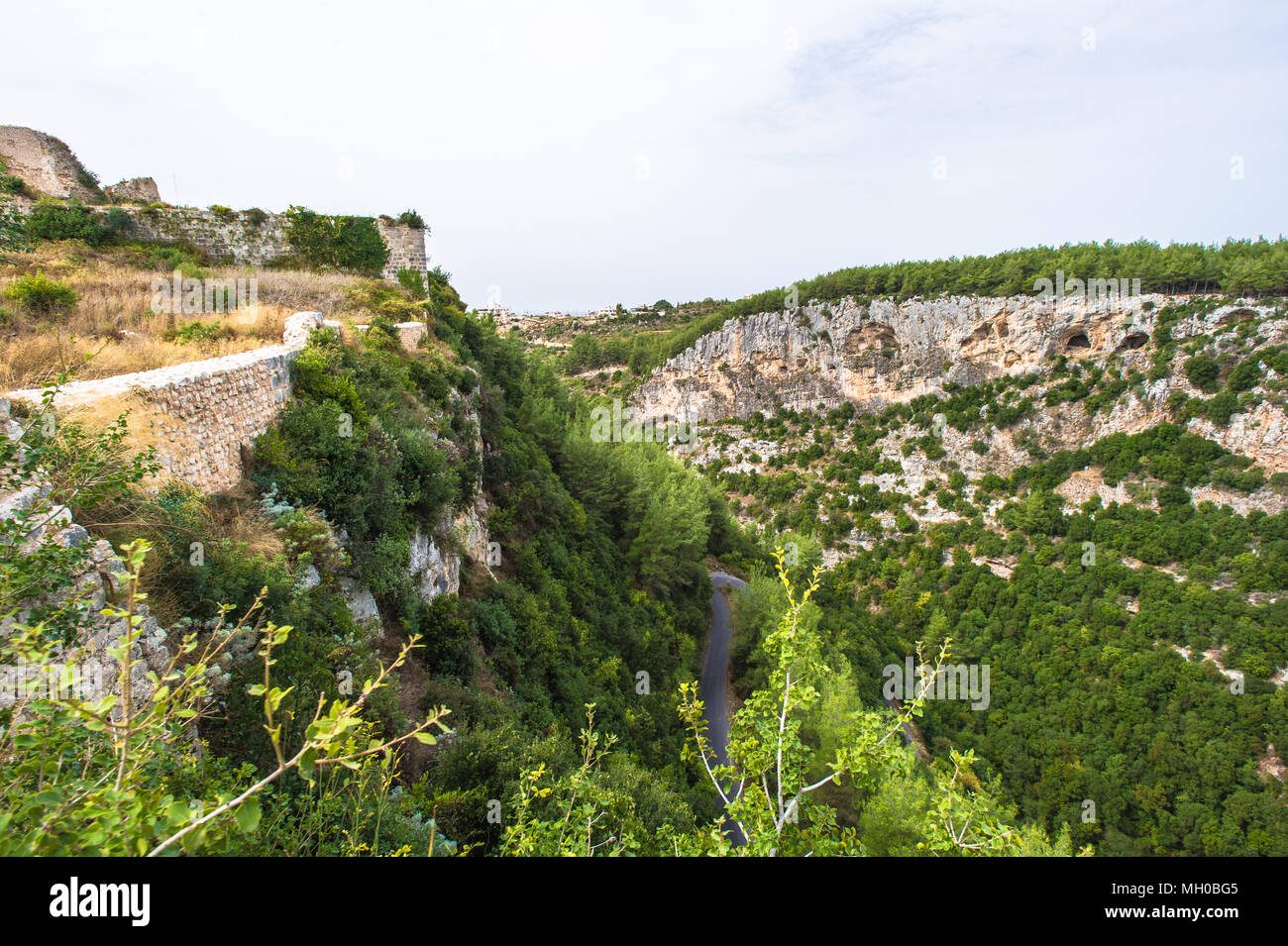 Castle and nature of Syria Stock Photo - Alamy