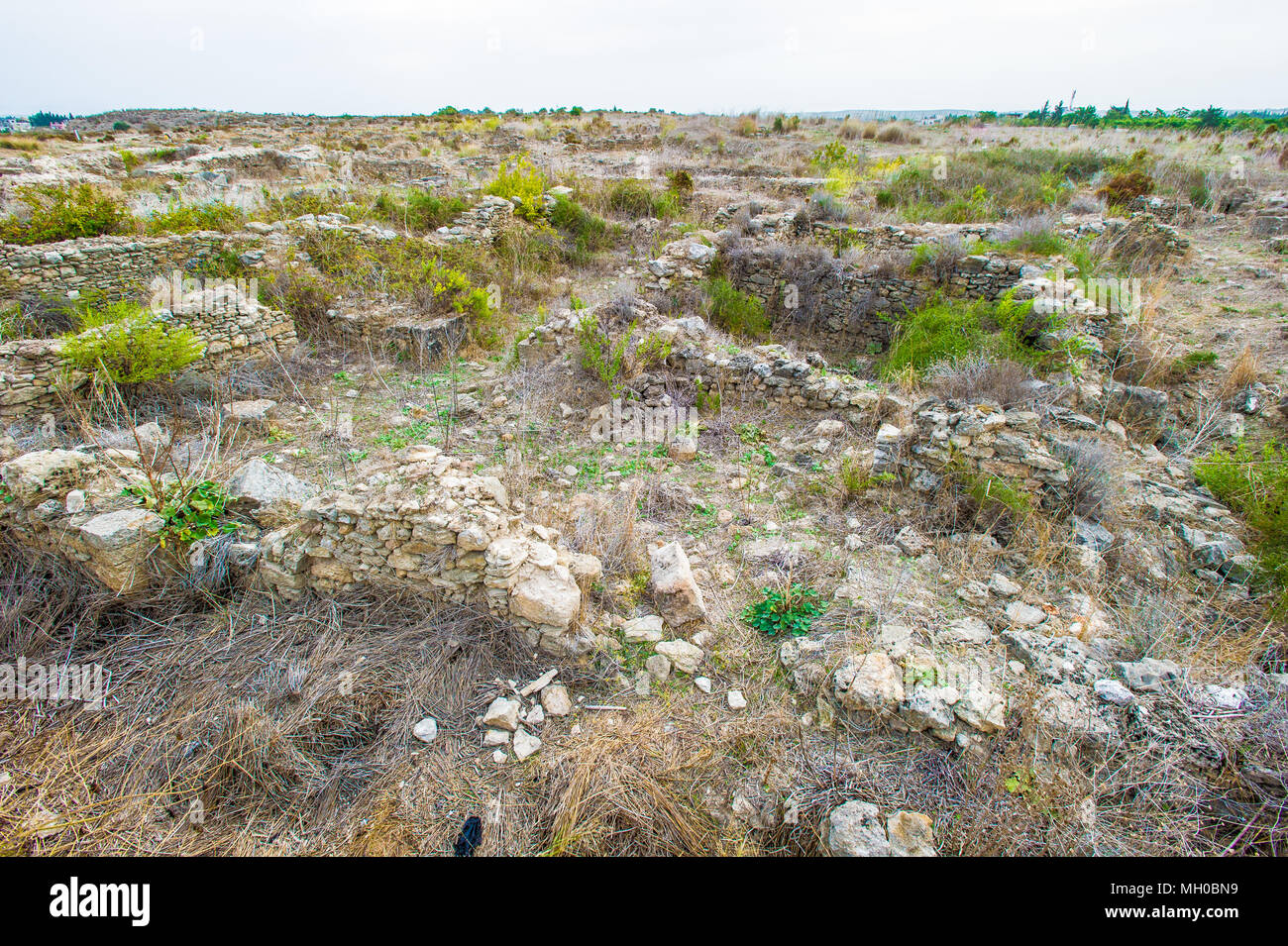 Excavated ruins at Ras Shamra, Ugarit, Syria Stock Photo - Alamy
