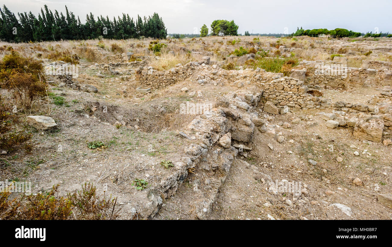 Nature of Ugarit, an ancient port city on the eastern Mediterranean at ...