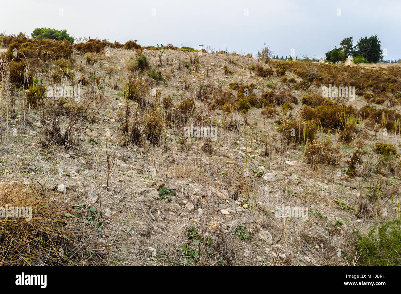 Nature of Ugarit, an ancient port city on the eastern Mediterranean at ...