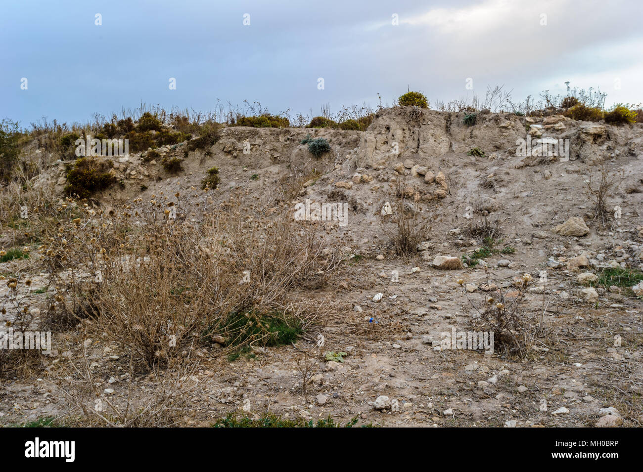 Nature of Ugarit, an ancient port city on the eastern Mediterranean at ...