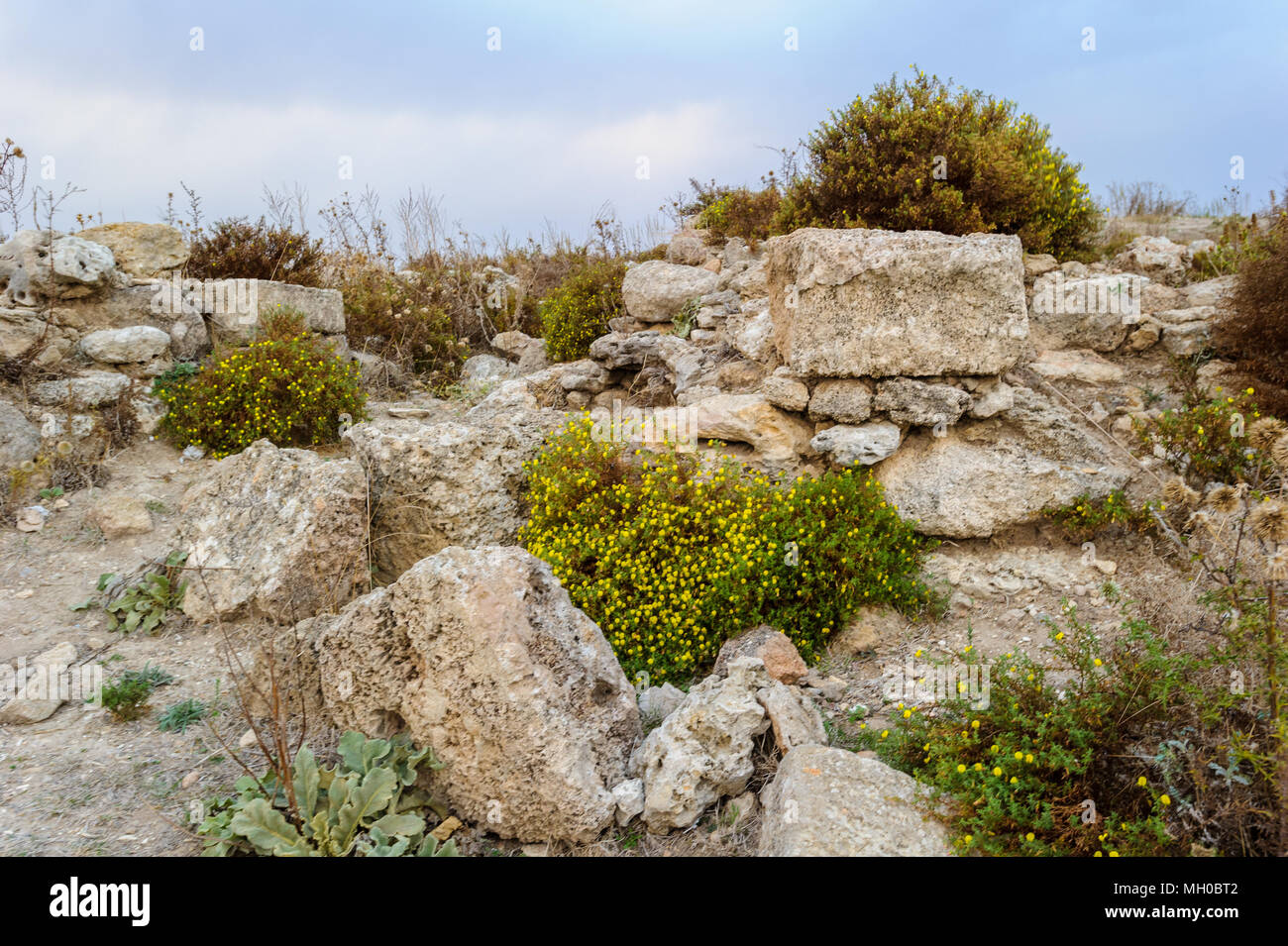 Ugarit ras shamra hi-res stock photography and images - Alamy