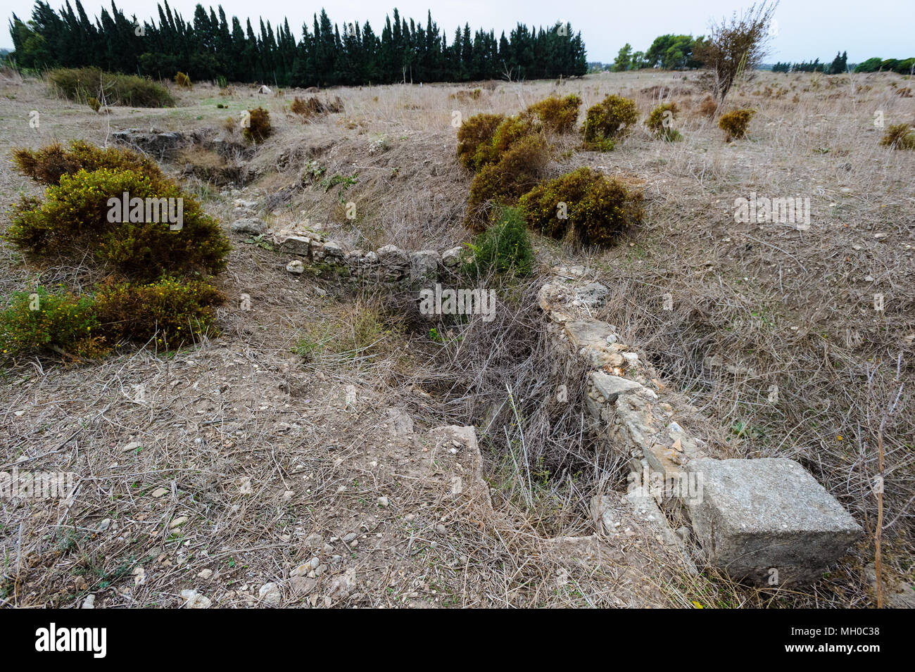 Nature of the ancient city of Ugarit, Syria Stock Photo - Alamy