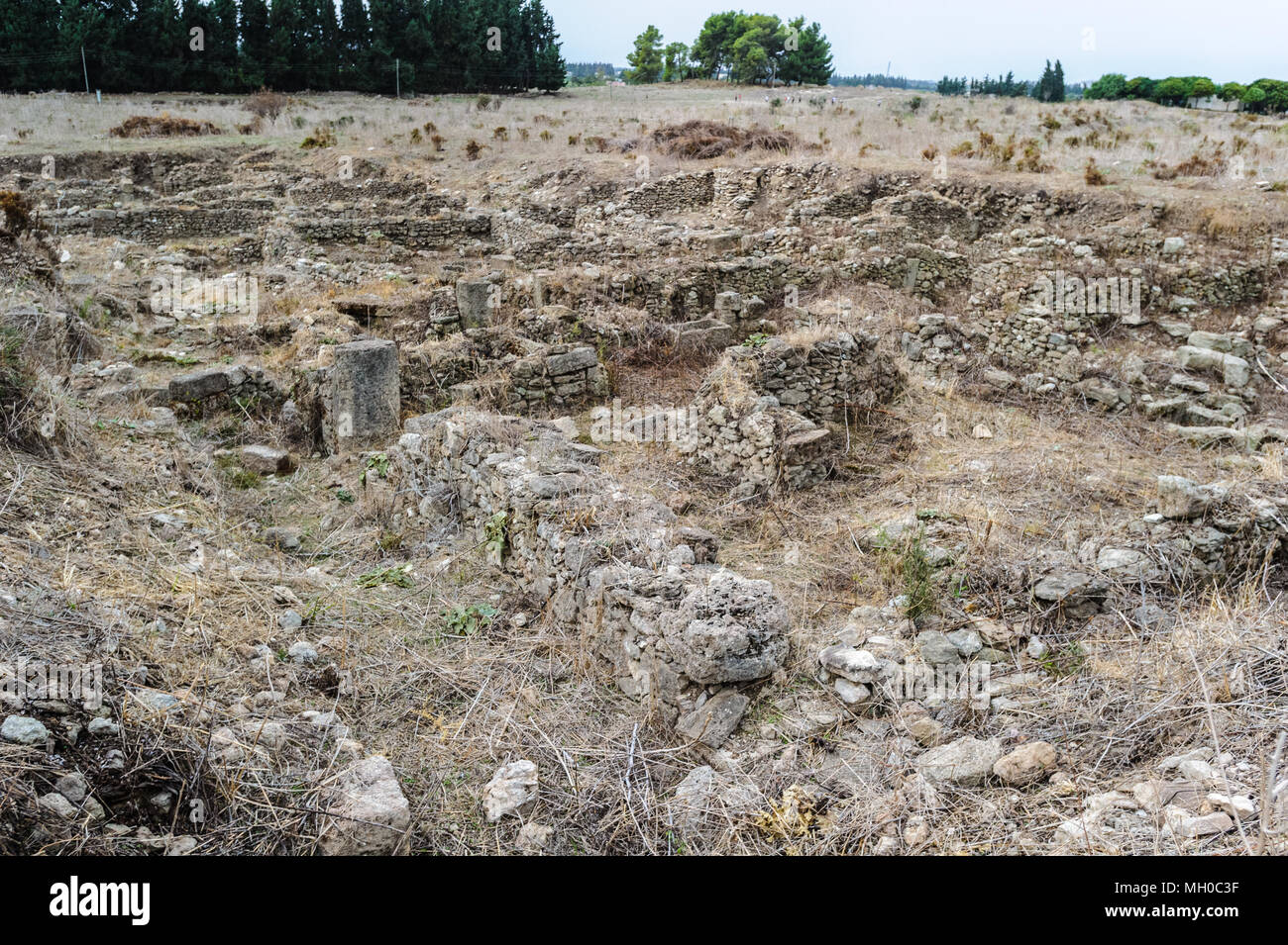 Nature of the ancient city of Ugarit, Syria Stock Photo - Alamy