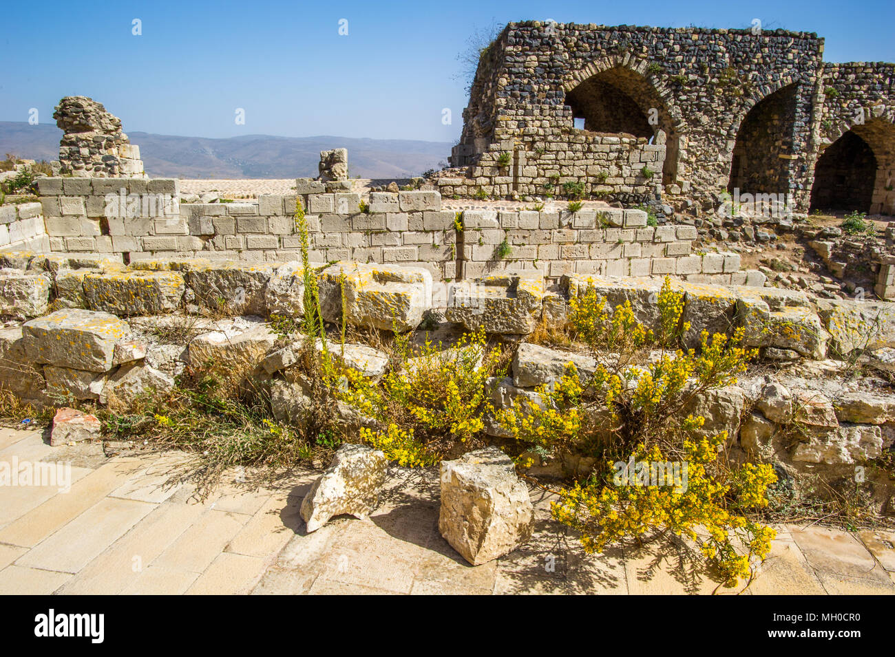 Old castle in Syria Stock Photo - Alamy