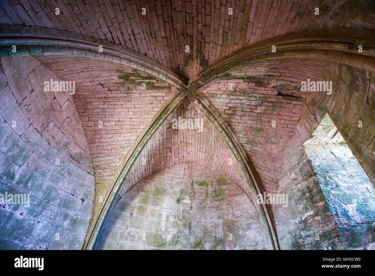 Old castle in Syria Stock Photo - Alamy