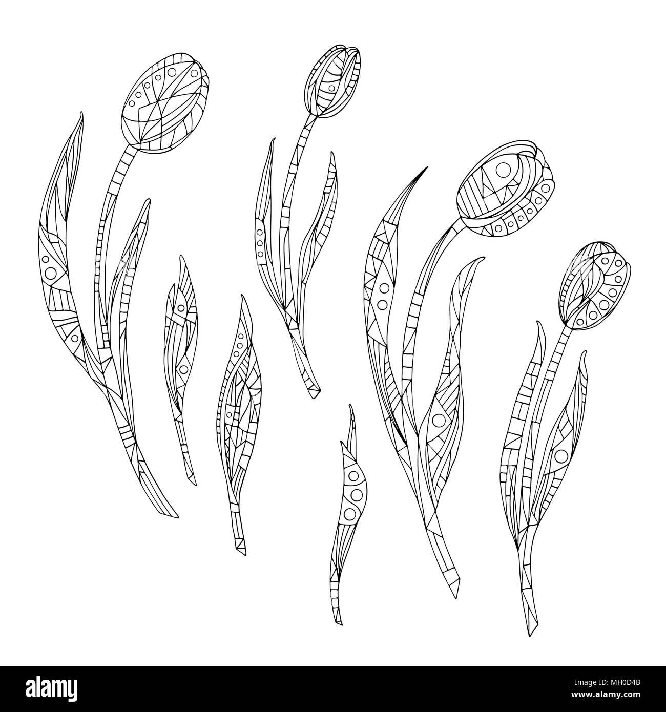Tulips coloring page. Hand drawn abstract flowers vector illustration ...