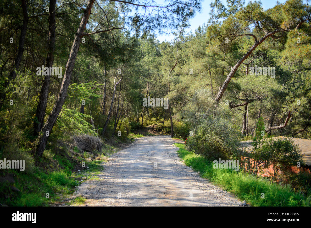 Nature of Turkey Stock Photo - Alamy