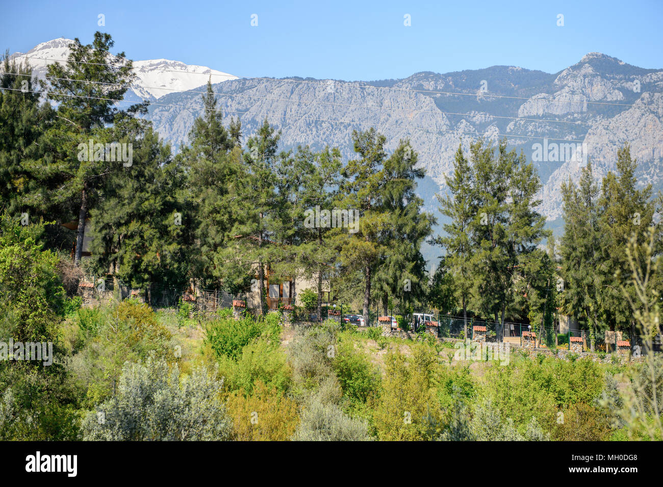Nature of Turkey Stock Photo - Alamy
