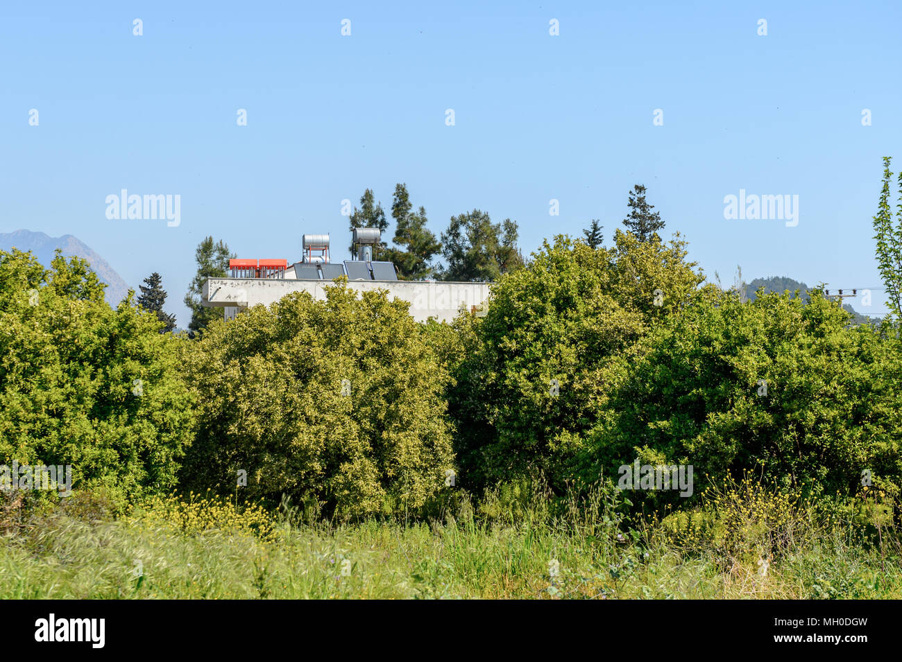 Nature of Turkey Stock Photo - Alamy