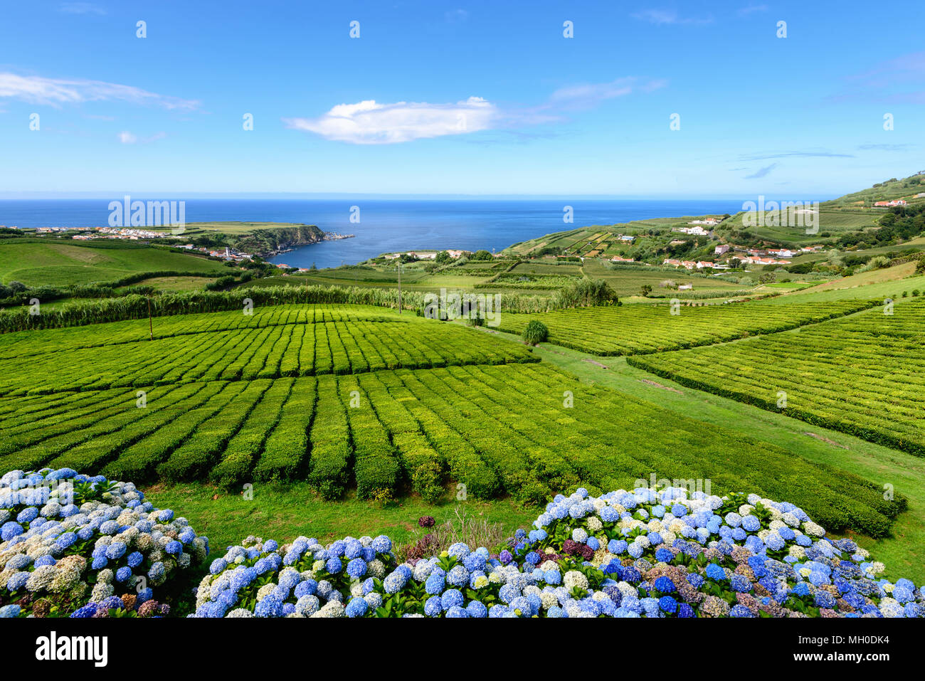 Amazing landscape in the Azores islands in Portugal. Sao Miguel Island ...