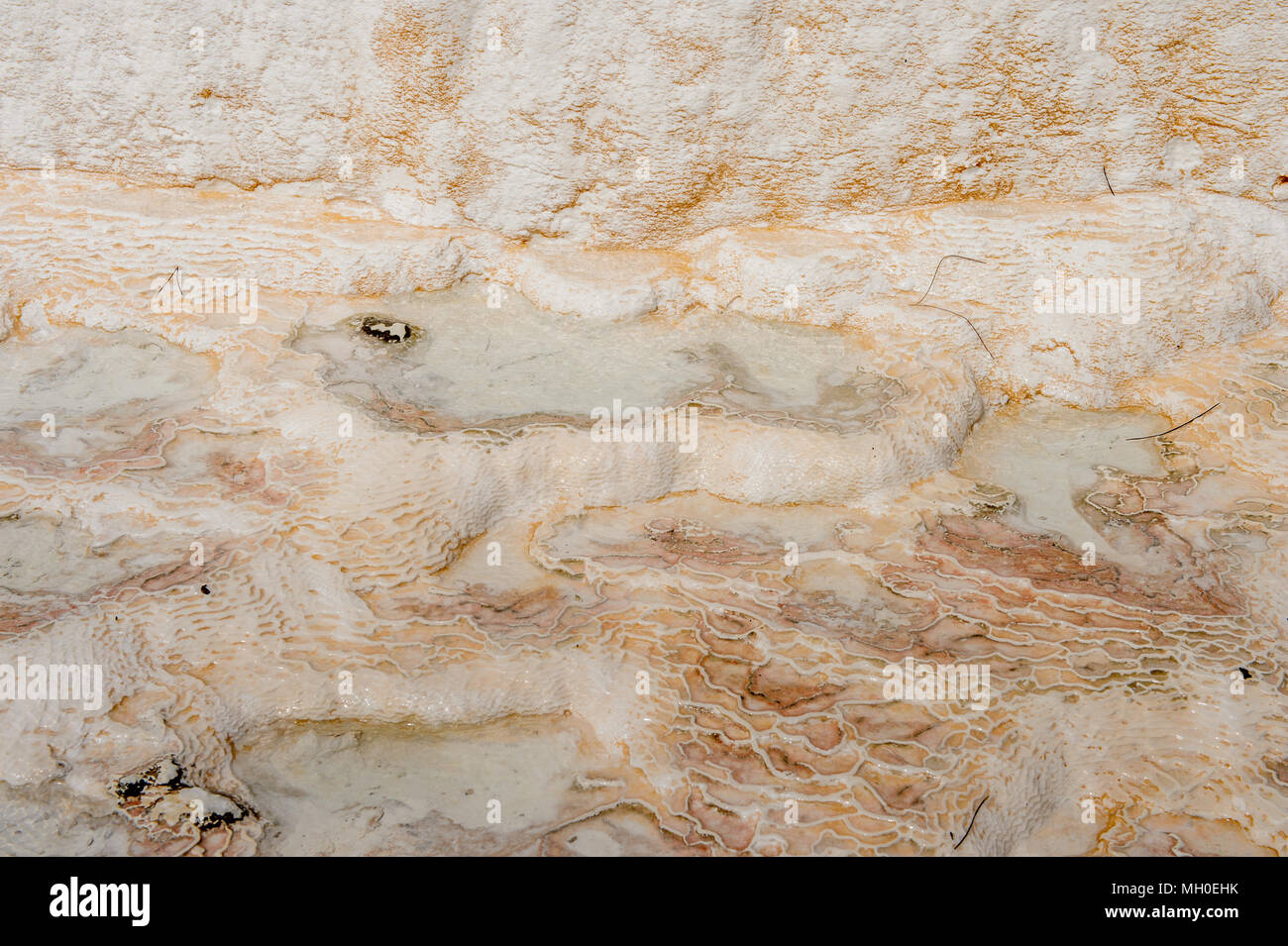 Travertine texture hi-res stock photography and images - Alamy