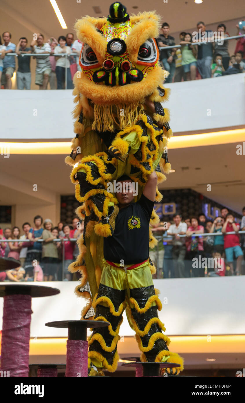 Yellow Lion Dance