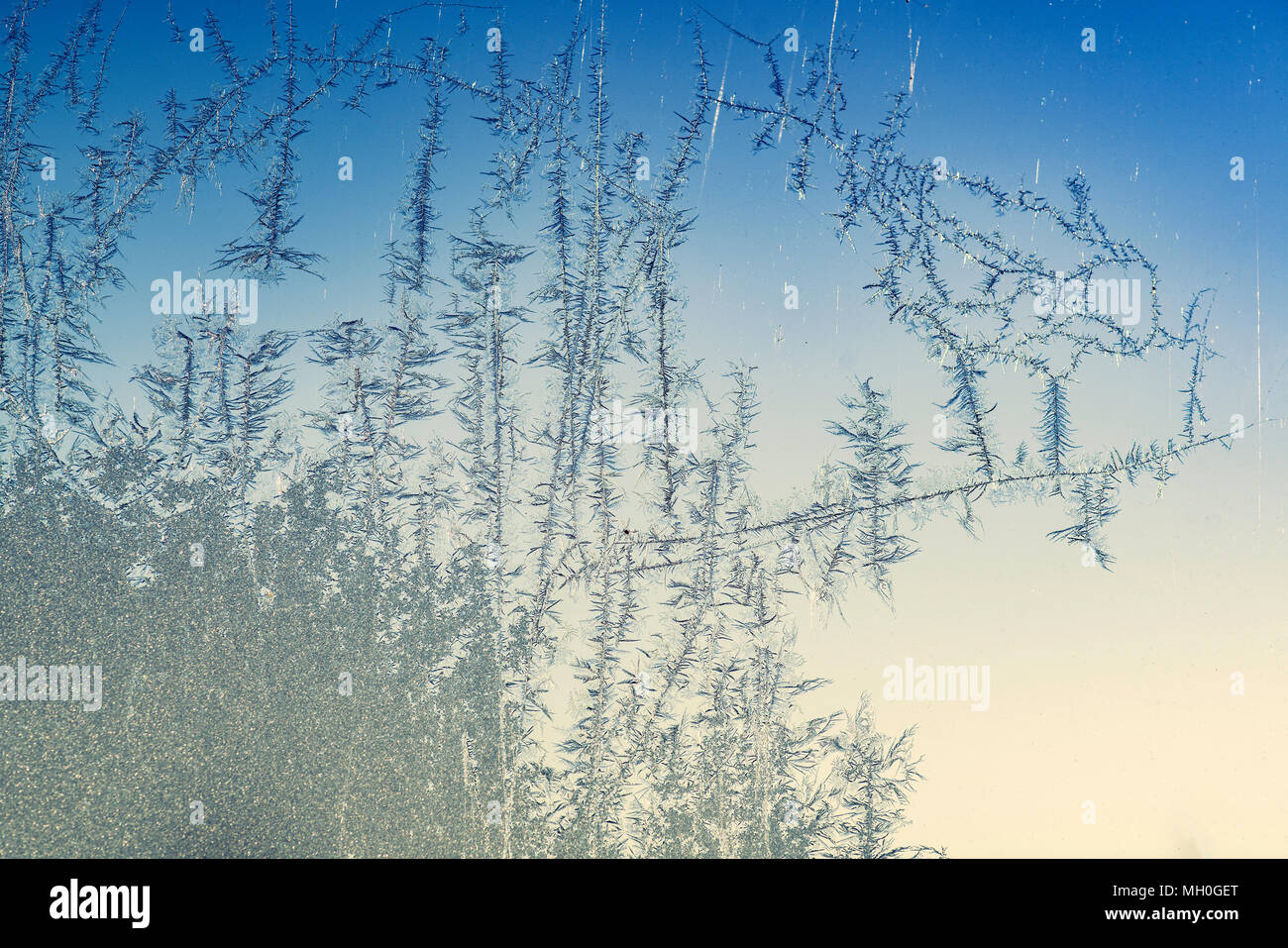 Frost bites on a window on a cold winter morning with blue color Stock ...