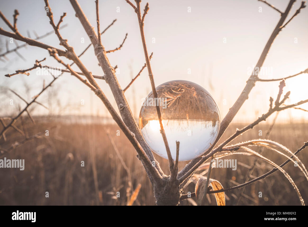 Sunrise sky nature tree orb hi-res stock photography and images - Alamy